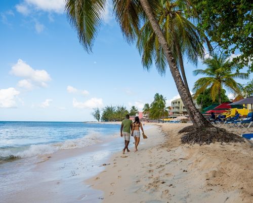 Black Friday Special at Time Out Hotel - Time Out Hotel, Barbados